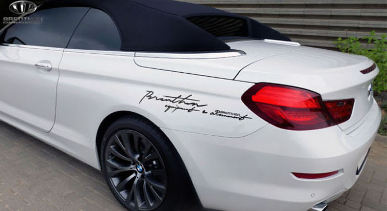 Side Line Brenthon E&O Decal Sticker Molding 800mm For 11 12 Hyundai ...