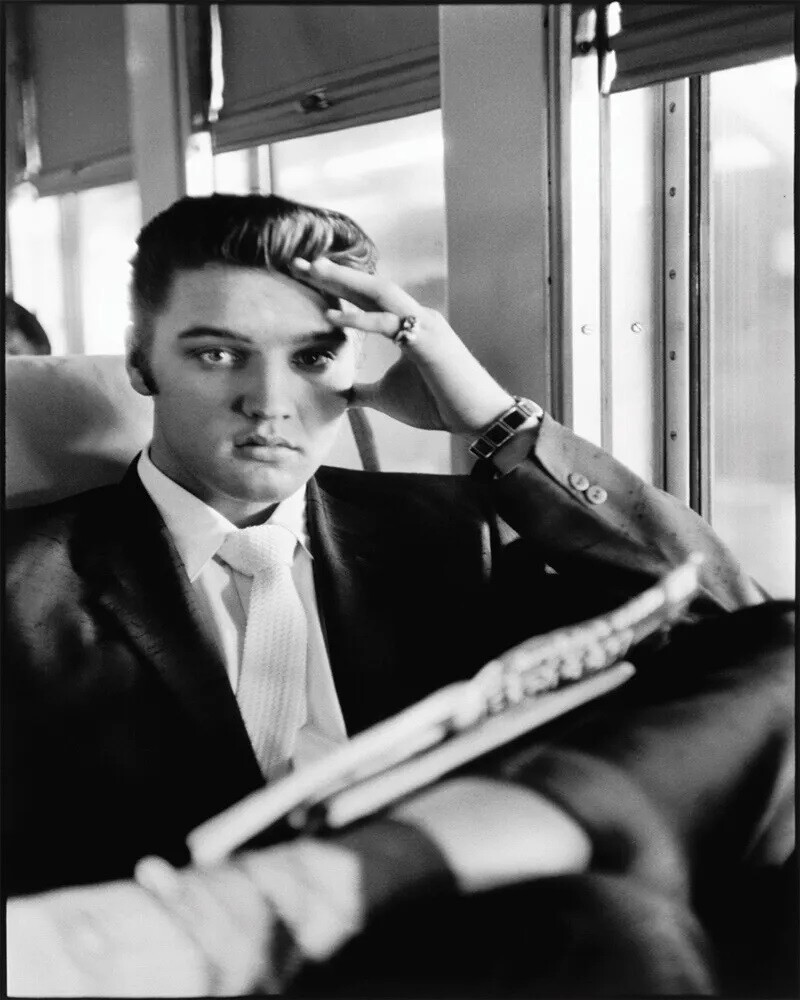 Elvis Presley Sitting In Suit And Tie 8x10 PHOTO PRINT | eBay
