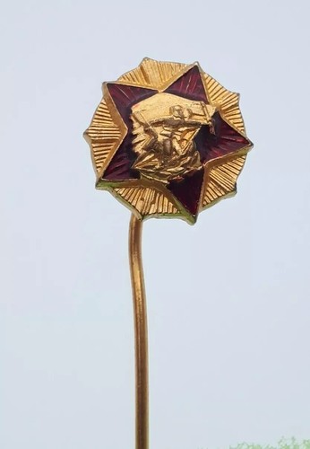 Partizanska Spomenica 1941. Commemorative vintage pin, badge Partisans ...