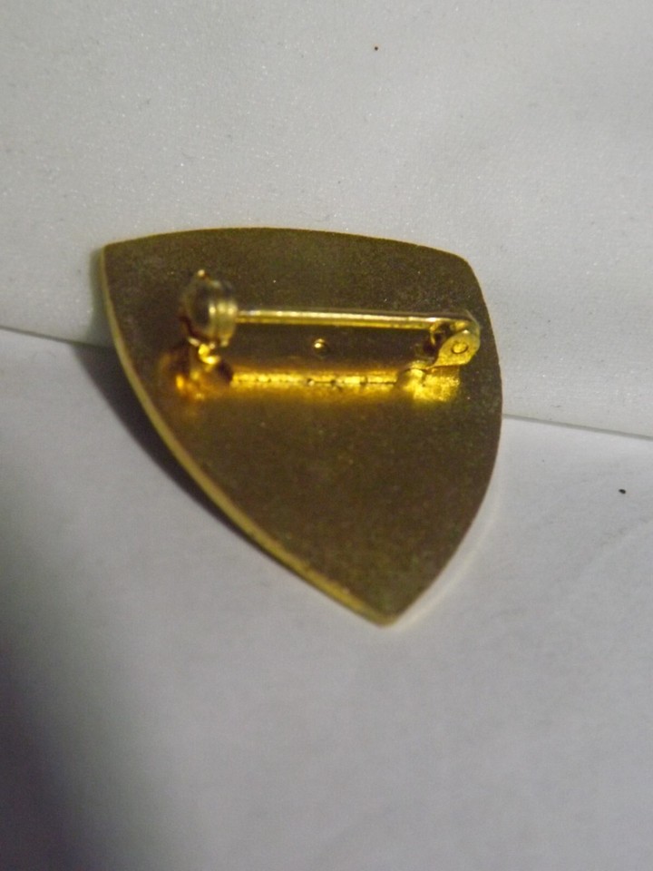 Excellence Nursing Services American Nurses Magnet Recognition Lapel ...