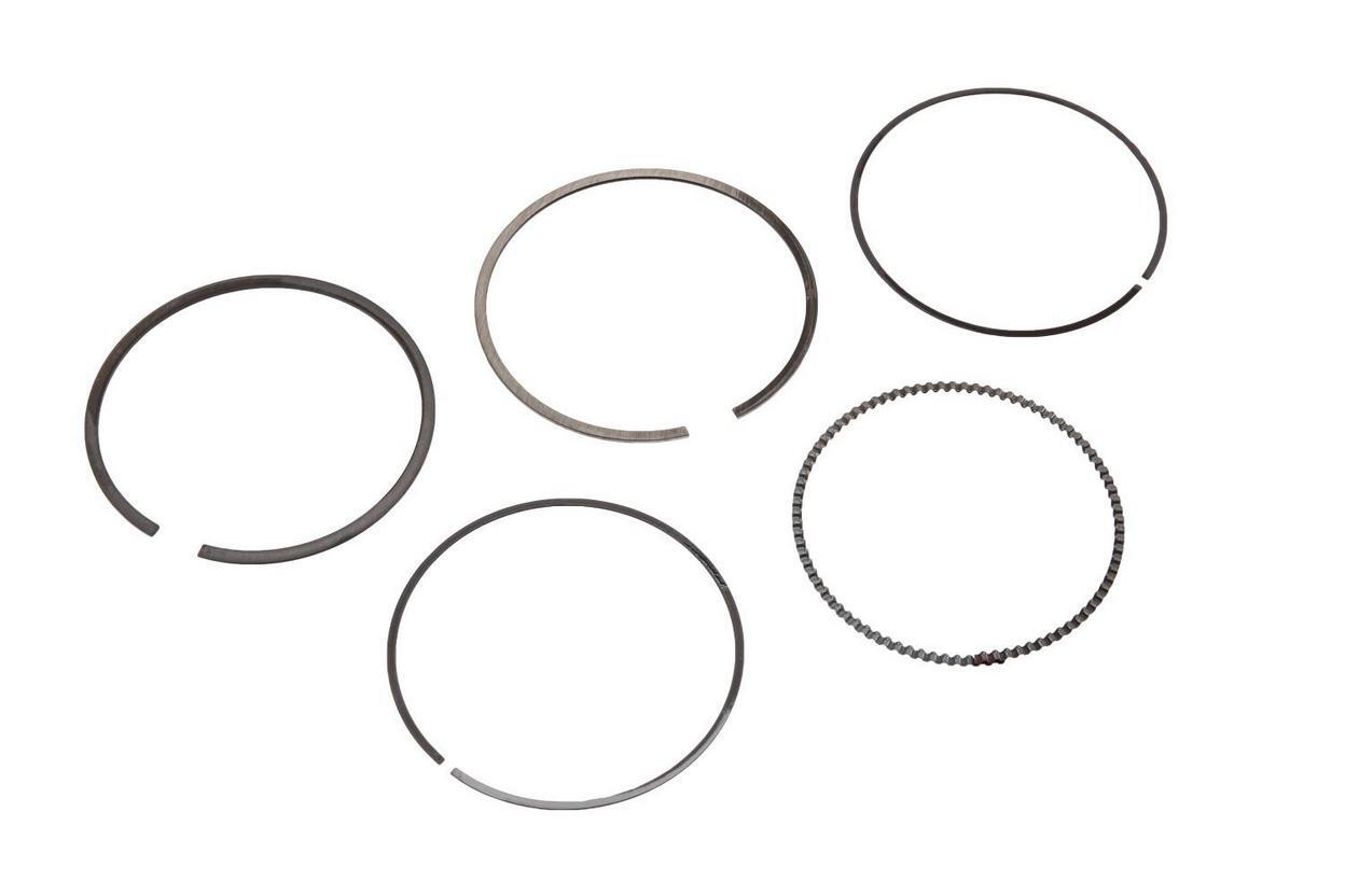 GM Genuine Parts 25195065 Engine Piston Ring | eBay