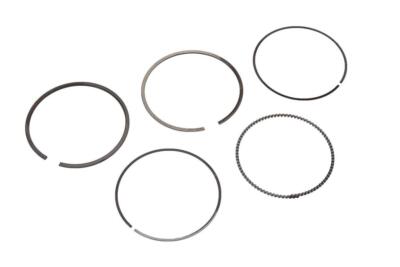 GM Genuine Parts 25195065 Engine Piston Ring | eBay