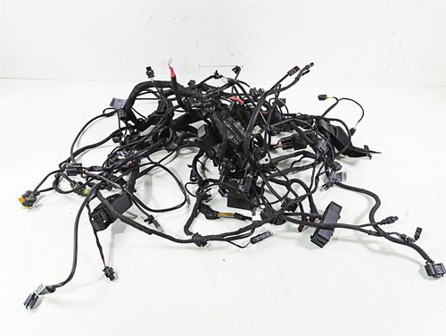 2021 BMW R1250GS K51 Adv Main & Engine Wiring Harness ESA Read ...