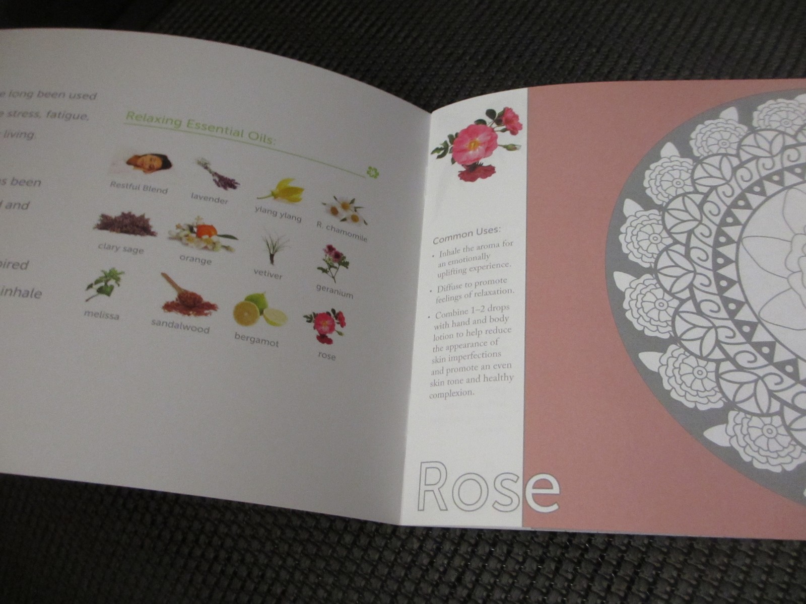 do Terra ~ Modern Essentials OILS Coloring Therapy Book doTerra COMMON ...