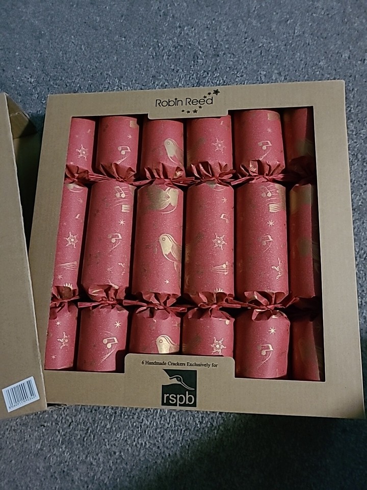 6 RSPB 2022 Christmas Cracker Pin Badges Un-Opened | eBay UK