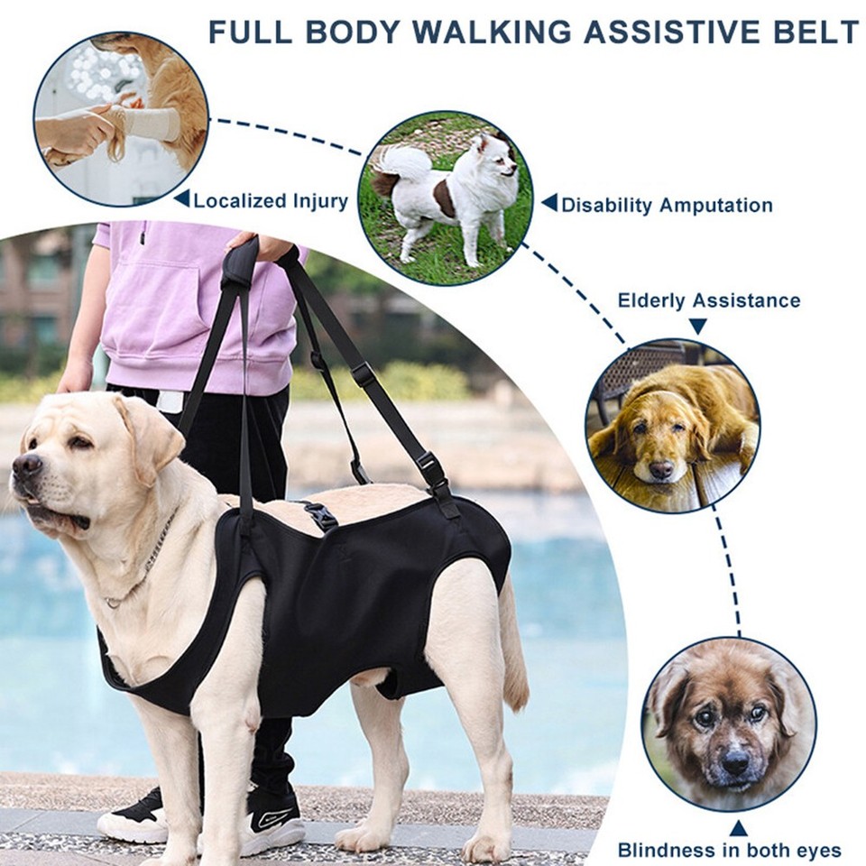 Adjustable Dog Lift Harness Dog Sling For Large Dog Leg Support Dog ...