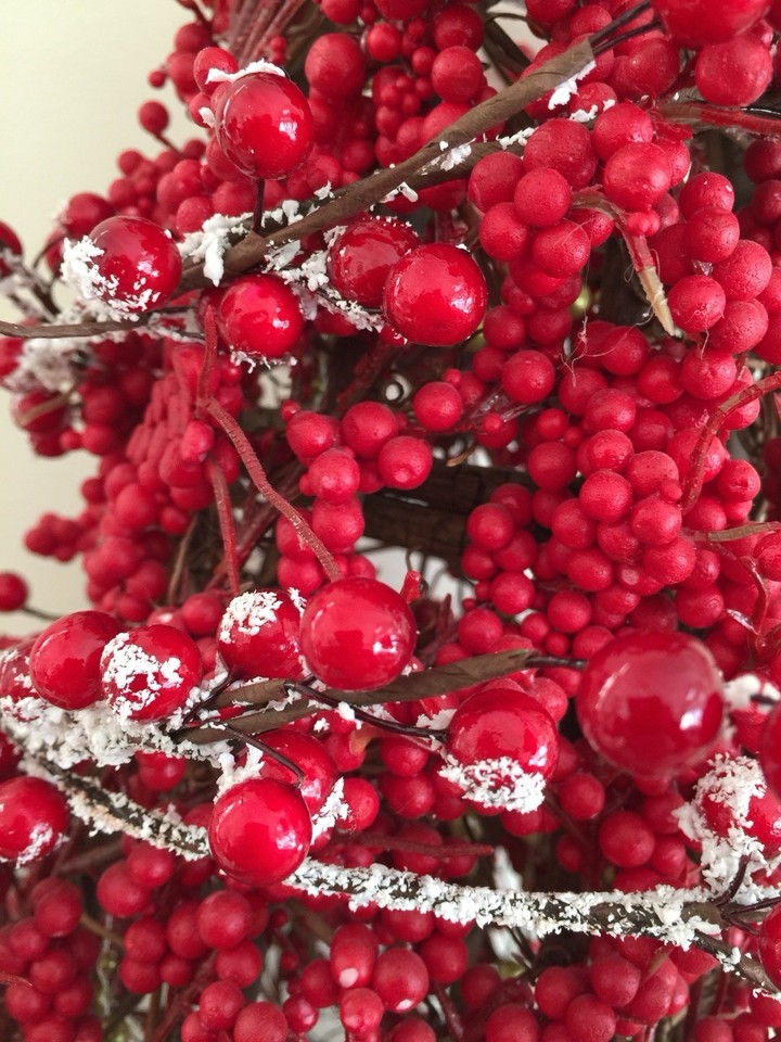 Unique Holiday Red Berry Cone Shaped Twig Trees (set of 2)-19 Inch. | eBay