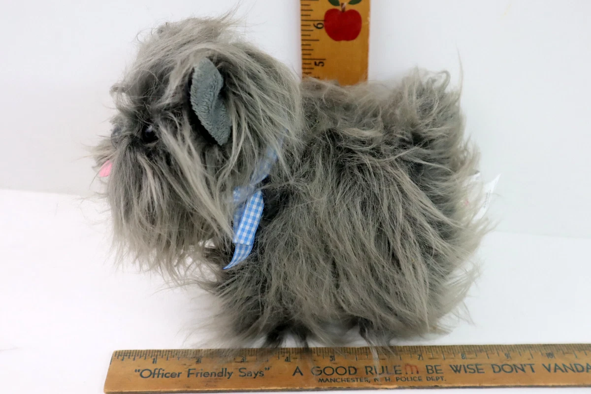 Toto Wizard Of Oz Breed Of Dog