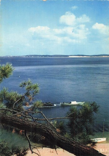 33 CAP FERRET LE RETOUR AU CHENAL DES PARCS A HUITRES AU FON | eBay