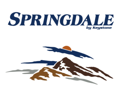 SPRINGDALE by KEYSTONE RV DECAL STICKER CAMPER TRAILER 08-10 | eBay