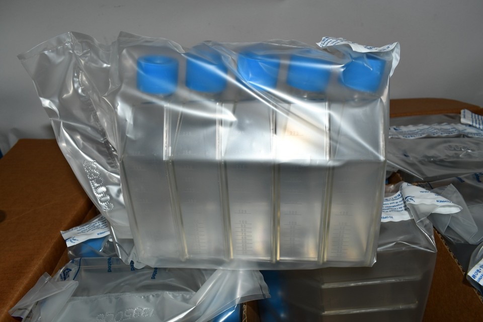 Case of 60 NEW Falcon 353136 Tissue Culture Flask 250 mL | eBay