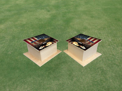 American Bald Eagle Cornhole Pro Series Air Mail 2 Boxes | eBay