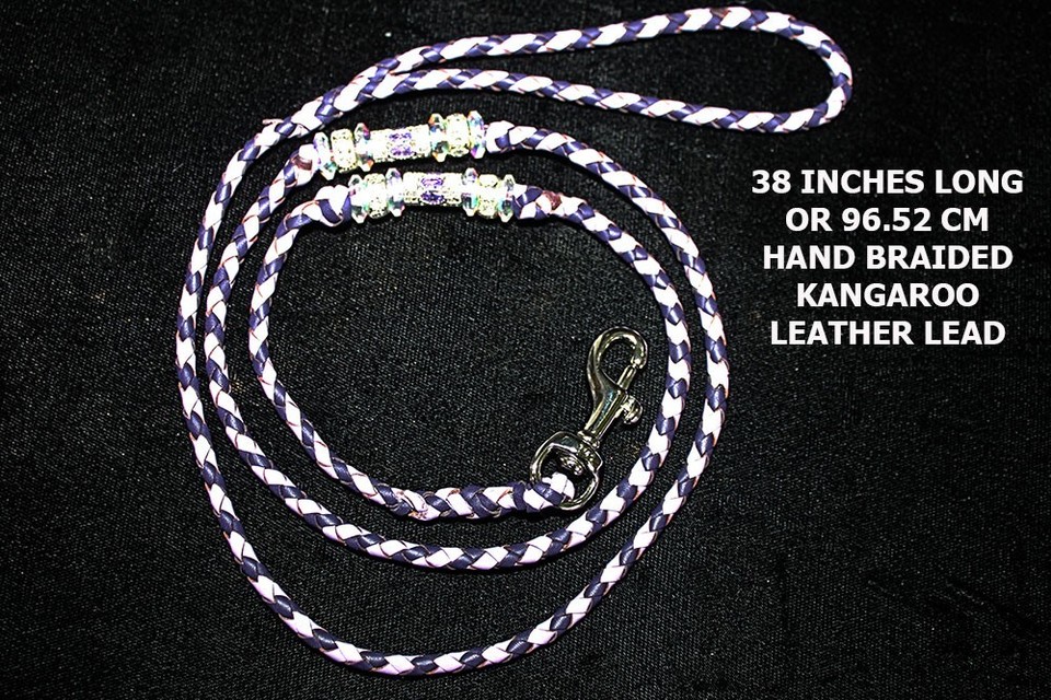 DOG SHOW LEASH or WALKING LEASH WITH BLING can be used for cat walks as ...