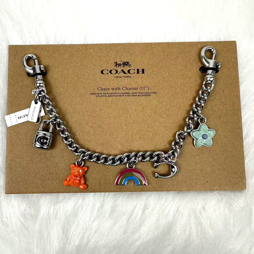 Coach Silver Swagger Chain With Charms Flower, Bear, C, Rainbow, Lock ...