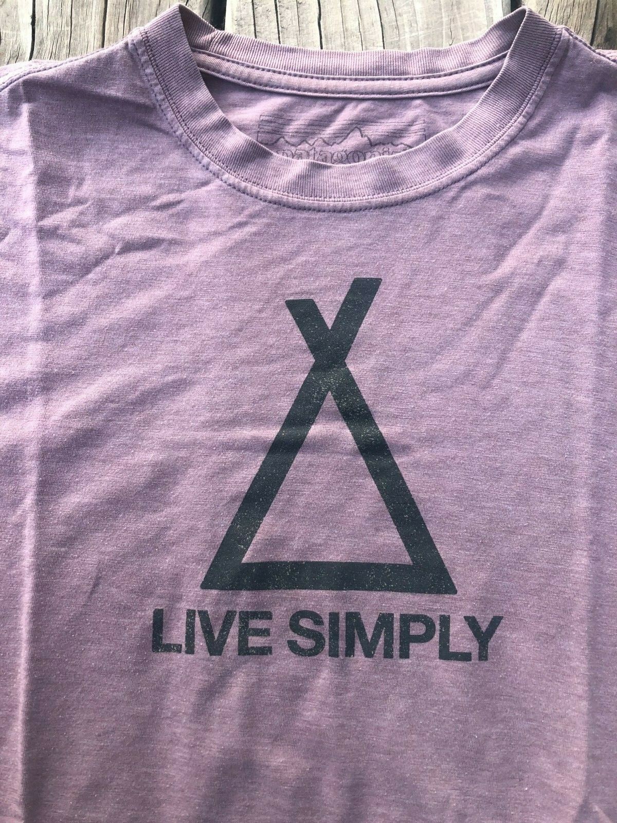 Patagonia Mens Live Simply Tee Pee T-Shirt-Medium - Gem