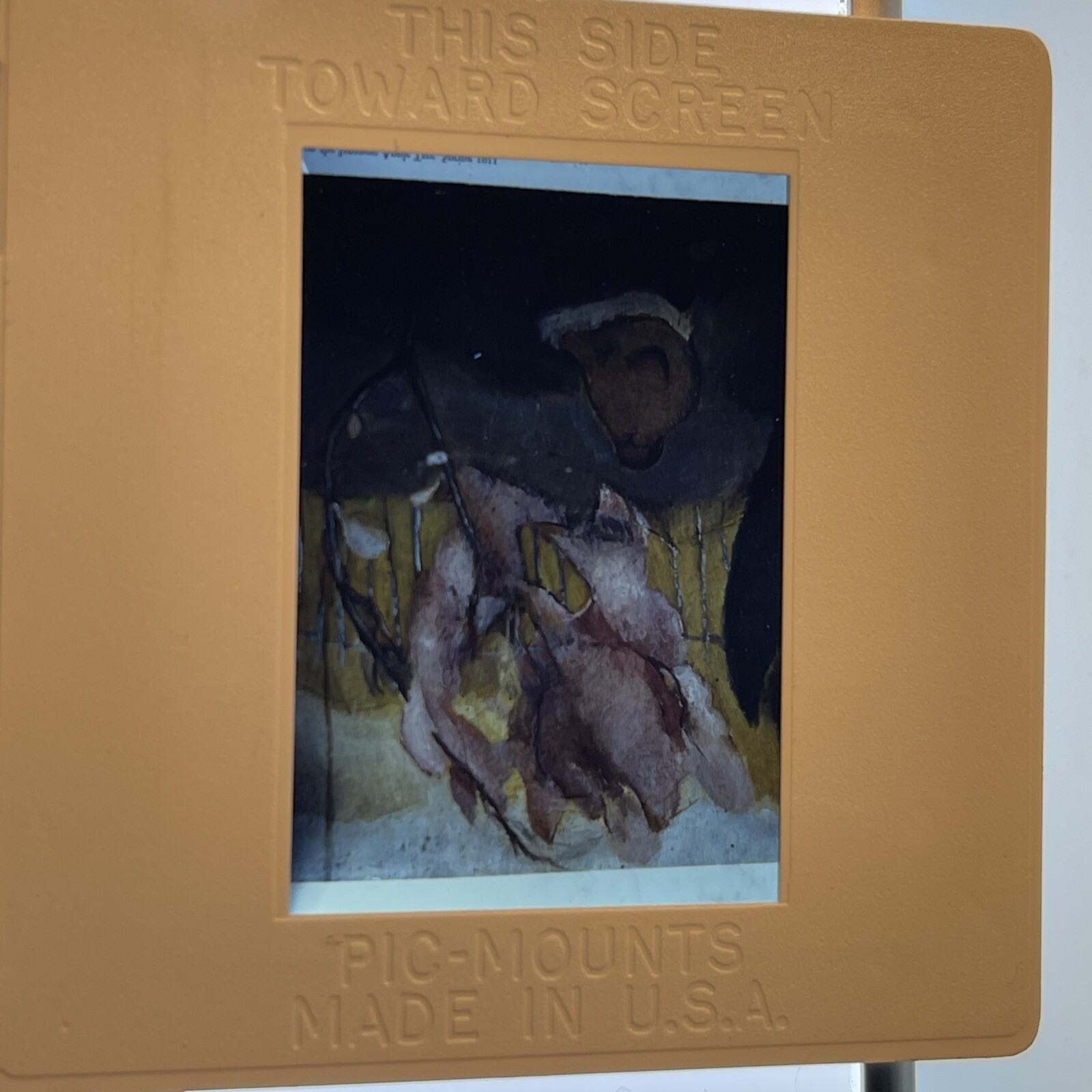 Marcel Duchamp “Japanese Apple Tree Draft” Dada 35mm Art Slide | eBay