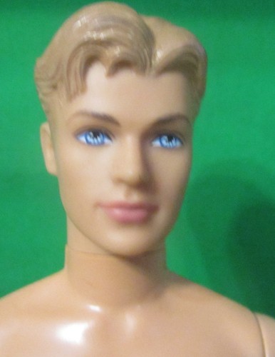 Mattel Barbie Beach Party Ken Doll 2008 Collectible Item #N4946 | eBay