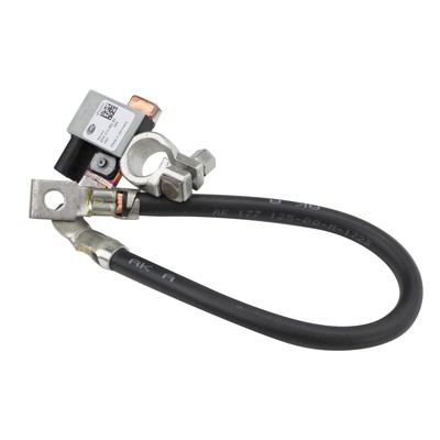 Battery Cable Sensor (Negative with Intelligent Battery Sensor) (IBS ...