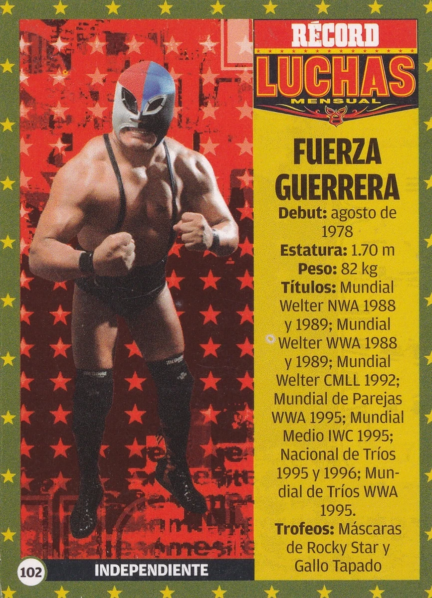 Fuerza Guerrera