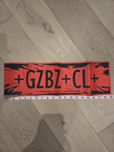 2ne1 CL concert Banner - Rare! | eBay