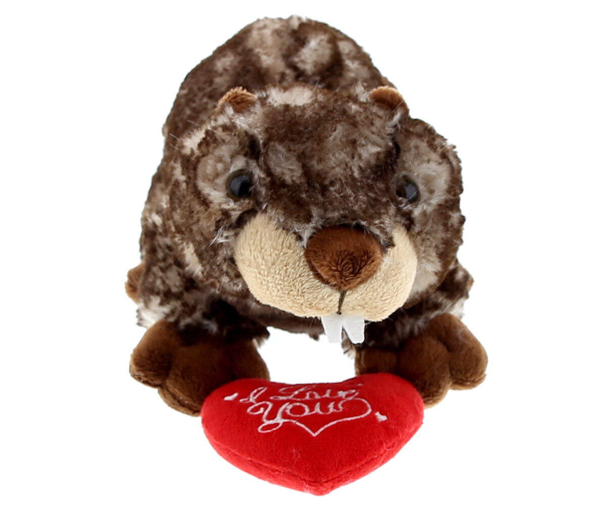 DolliBu I LOVE YOU Cute Lying Brown Marmot Plush Animal with Heart - 11 ...