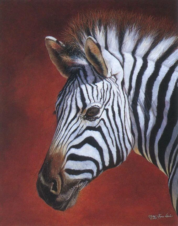 Zebra Oil Painting