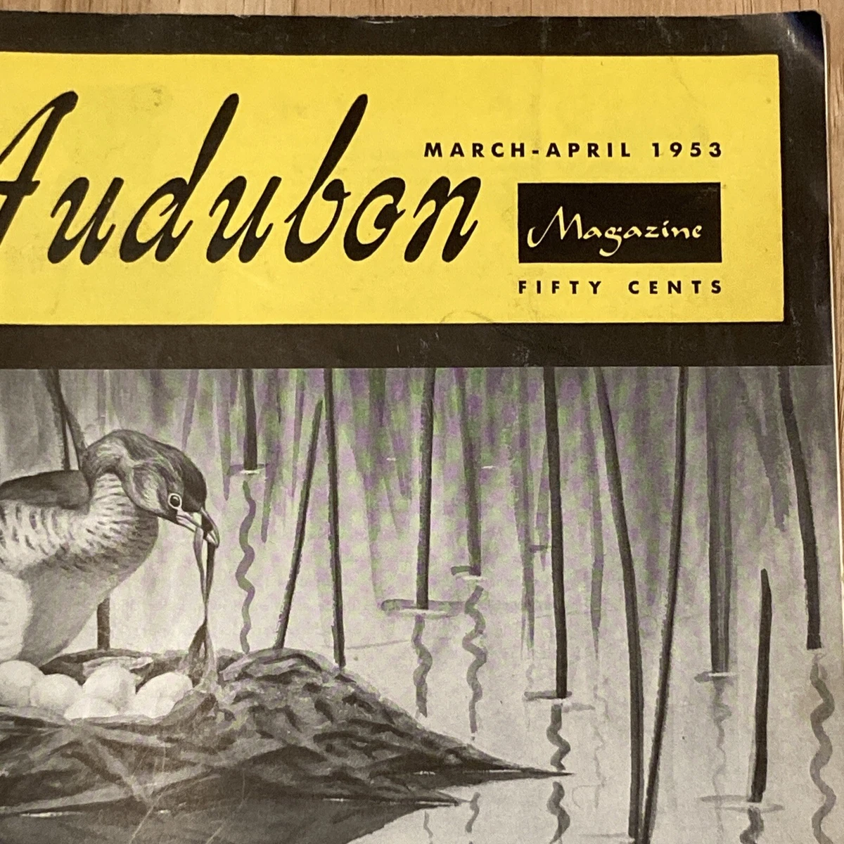 Vintage Naturalist Magazines Junior