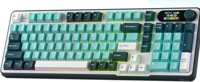 RK ROYAL KLUDGE S98 MECHANICAL KEYBOARD SWAPPABLE 98 KEYS DOUBLESHOT ...