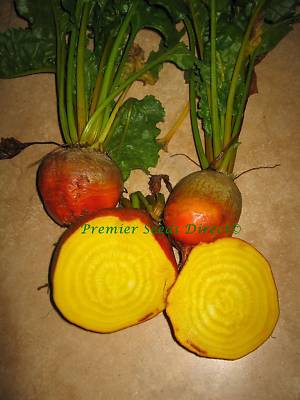 BEETROOT BURPEES GOLDEN 300 FINEST SEEDS | eBay UK