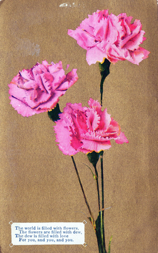 Pink Carnations with Poem Vintage Postcard 3.5"x5.5" | eBay
