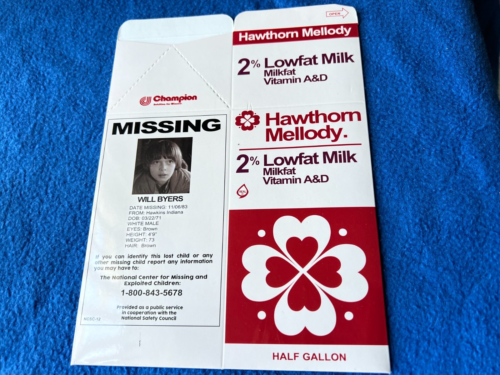 BAM BOX Horror MISSING MILK CARTON REPLICA Will Byers Stranger Things ...