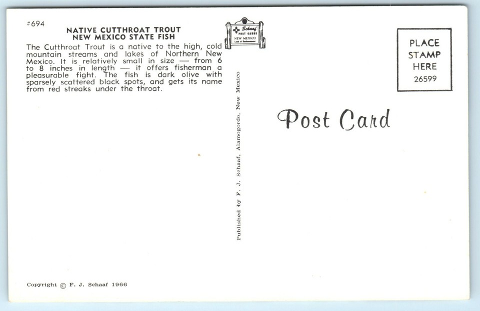 POSTCARD Native Cutthroat Trout New Mexico State Fish Cold Mountain ...