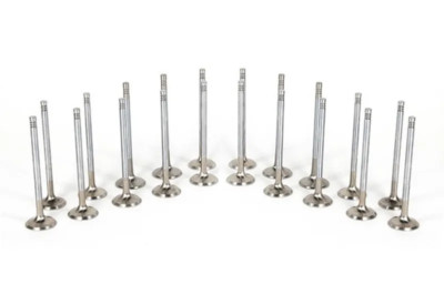 Ferrea Intake Exhaust Valves For 90-01 BMW 3-SERIES S42 M42 S50 M50 M51 ...