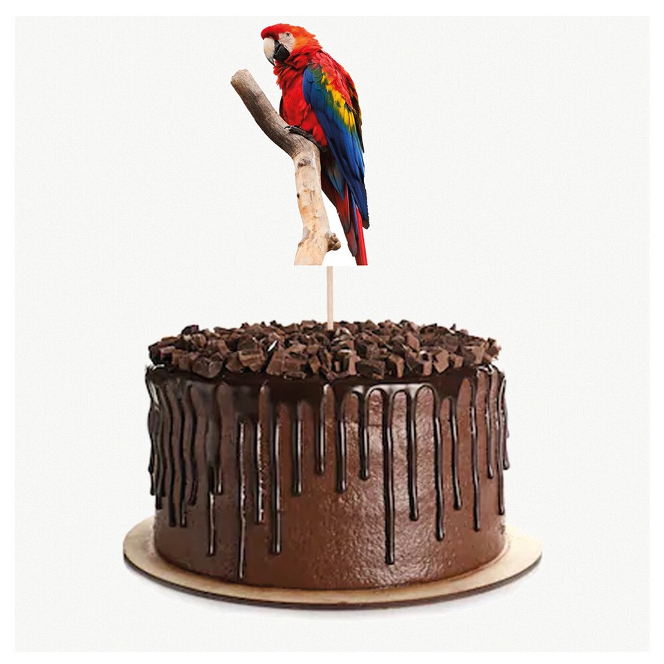 Parrot Bird Birthday Cupcake & Party Food Toppers Decorations Picks 14 ...
