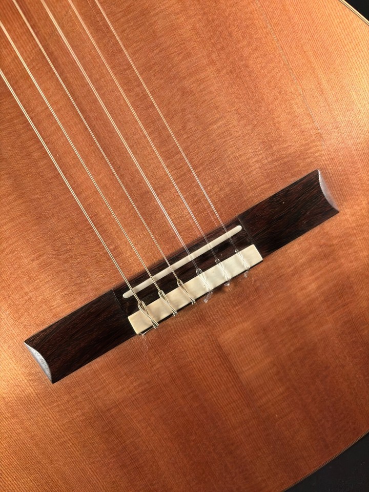 2001 Jamon Zeiler "California Condor" Acoustic "Electric" Nylon String ...