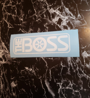 BOSS Snow plow Decals Stickers 14x4.4 Gloss WHITE Truck Plow ...