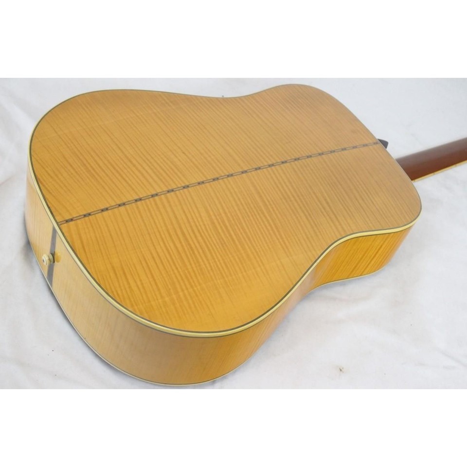 Gallagher GL-10 Acoustic Guitar with Hard Case, Slight Wear, Mid Range ...