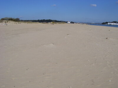 Photo 6x4 Shell Bay Beach Studland Sandbanks Shell Bay Beach Studland ...
