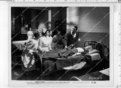 jo-10204 1955 orig photo Howard Duff, Audrey Totter, Phyllis Thaxter ...