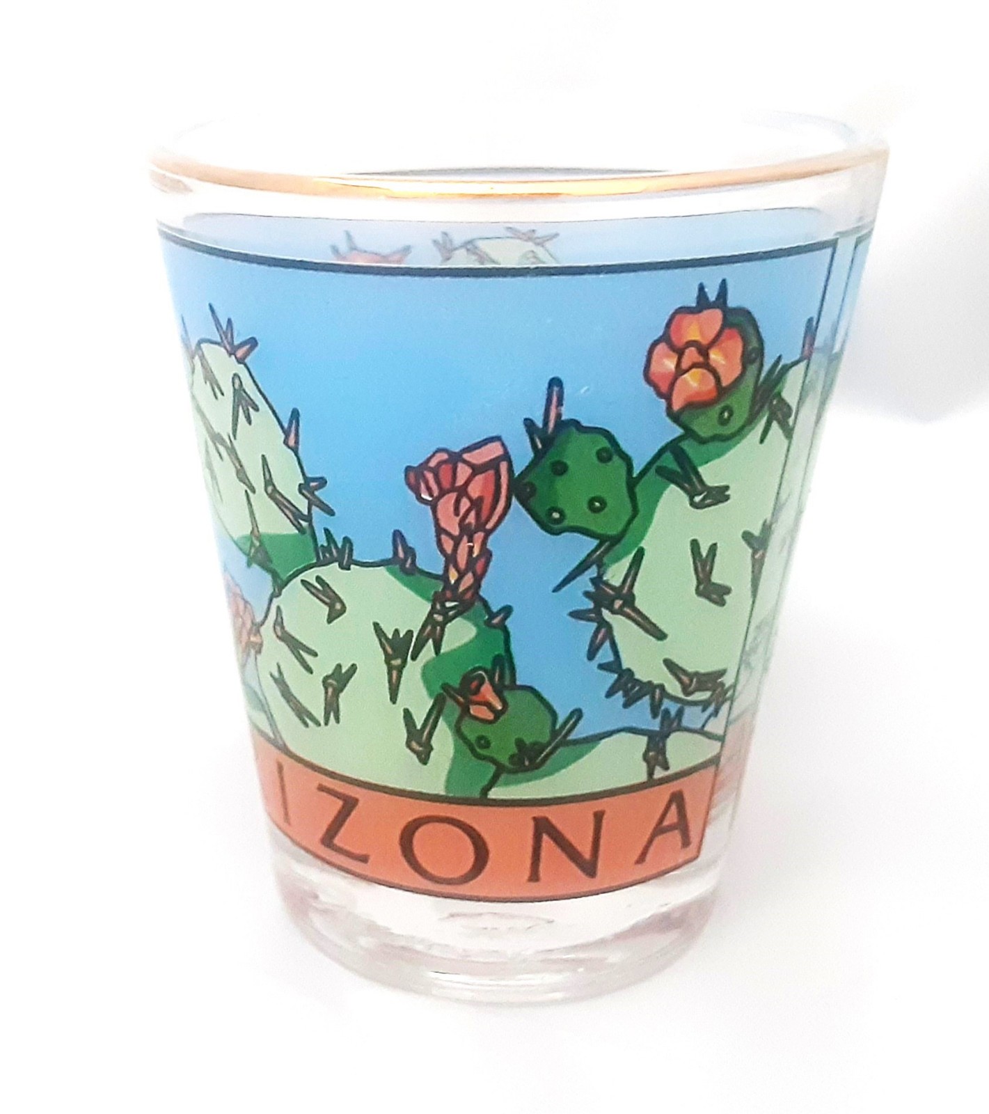 ARIZONA Shot Glass Shotglass Cactus Design | eBay