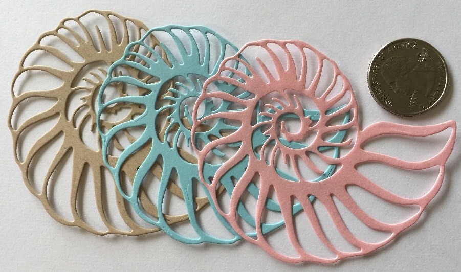 BIG SHELL Die-Cut(3pc)3"x 3" Ocean•Sea•Sand•Tropical •Vacation•Water ...