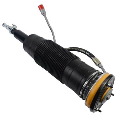 Front Right Air Suspension Strut 2213206213 Fits Mercedes-Benz CL600 ...