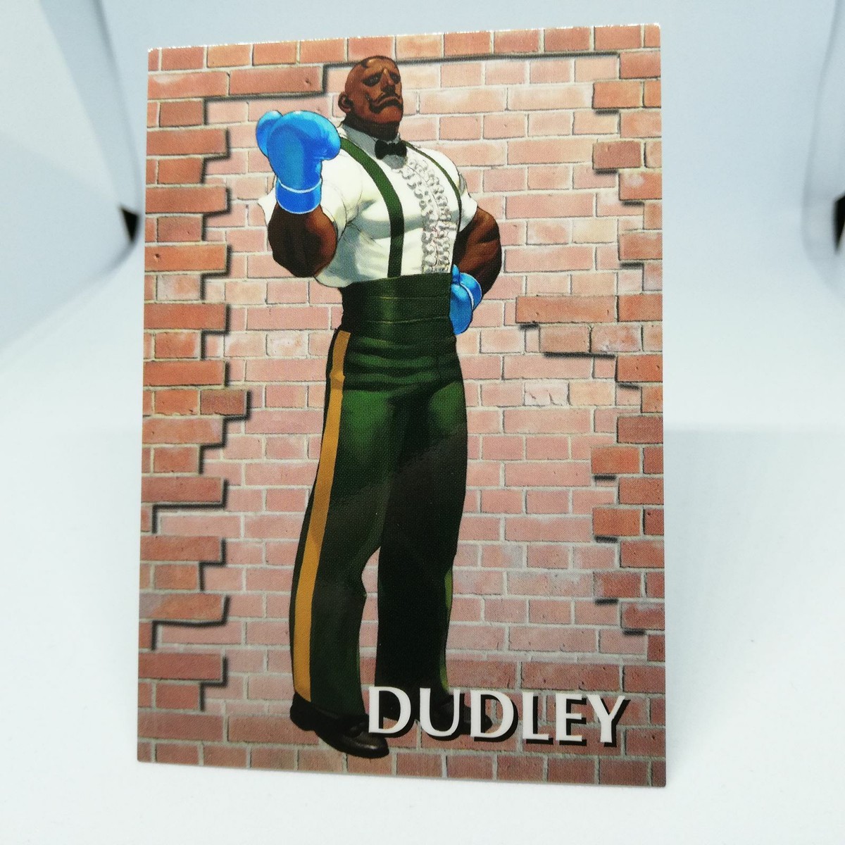 Dudley Cosplay