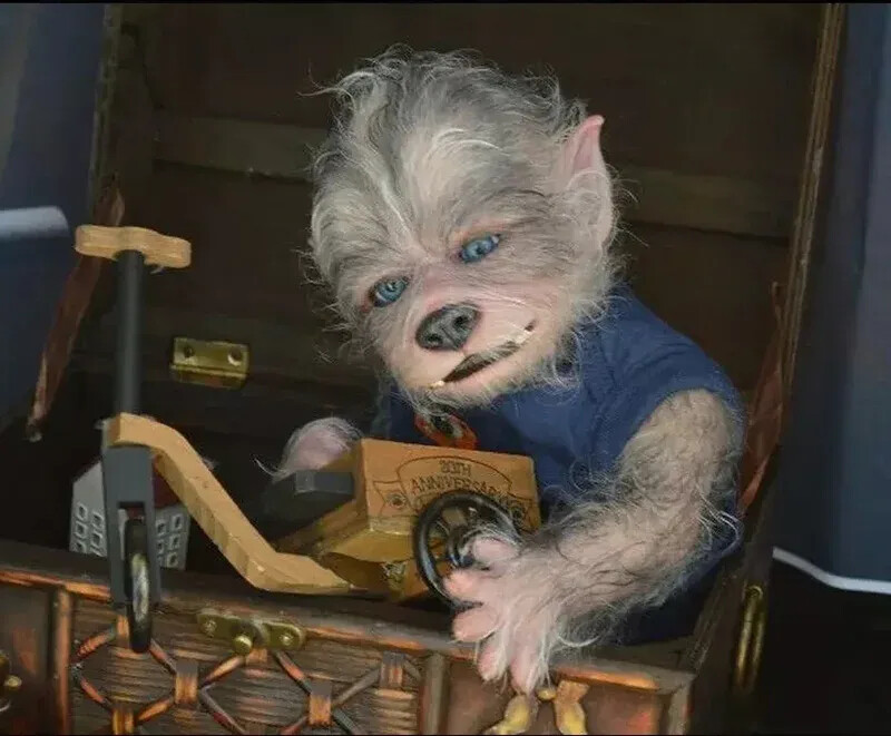 New Realistic 19'' Reborn Werewolf Doll Kit - Robbie DIY Parts for ...