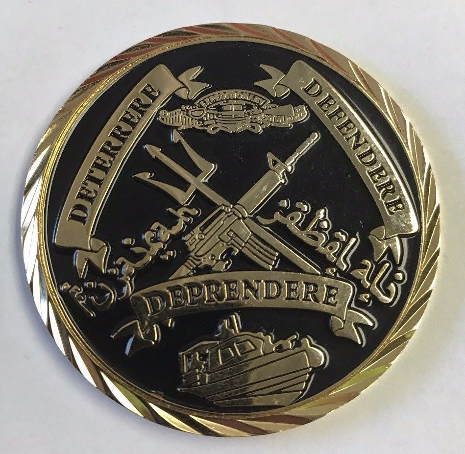 US Navy MSRON Maritime Expeditionary Security Squadron 12 2012 - 2013 ...