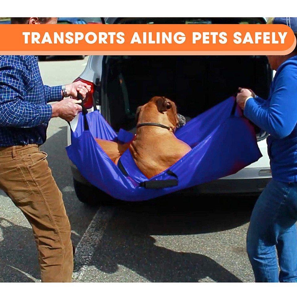 Large Dog Stretcher Nylon Pet Animal Emergency Rescue Transport ...