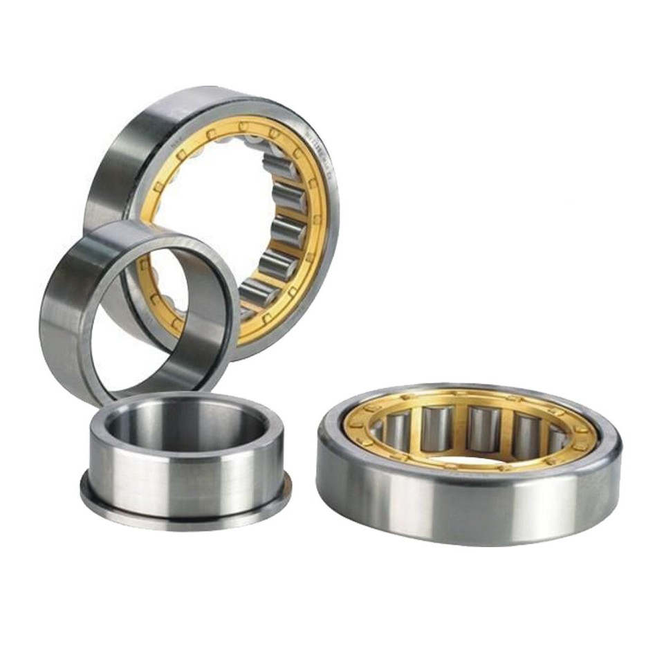 15mm to 100mm Bore Radial Rolling Cylindrical Roller Bearings N/NU/NJ ...