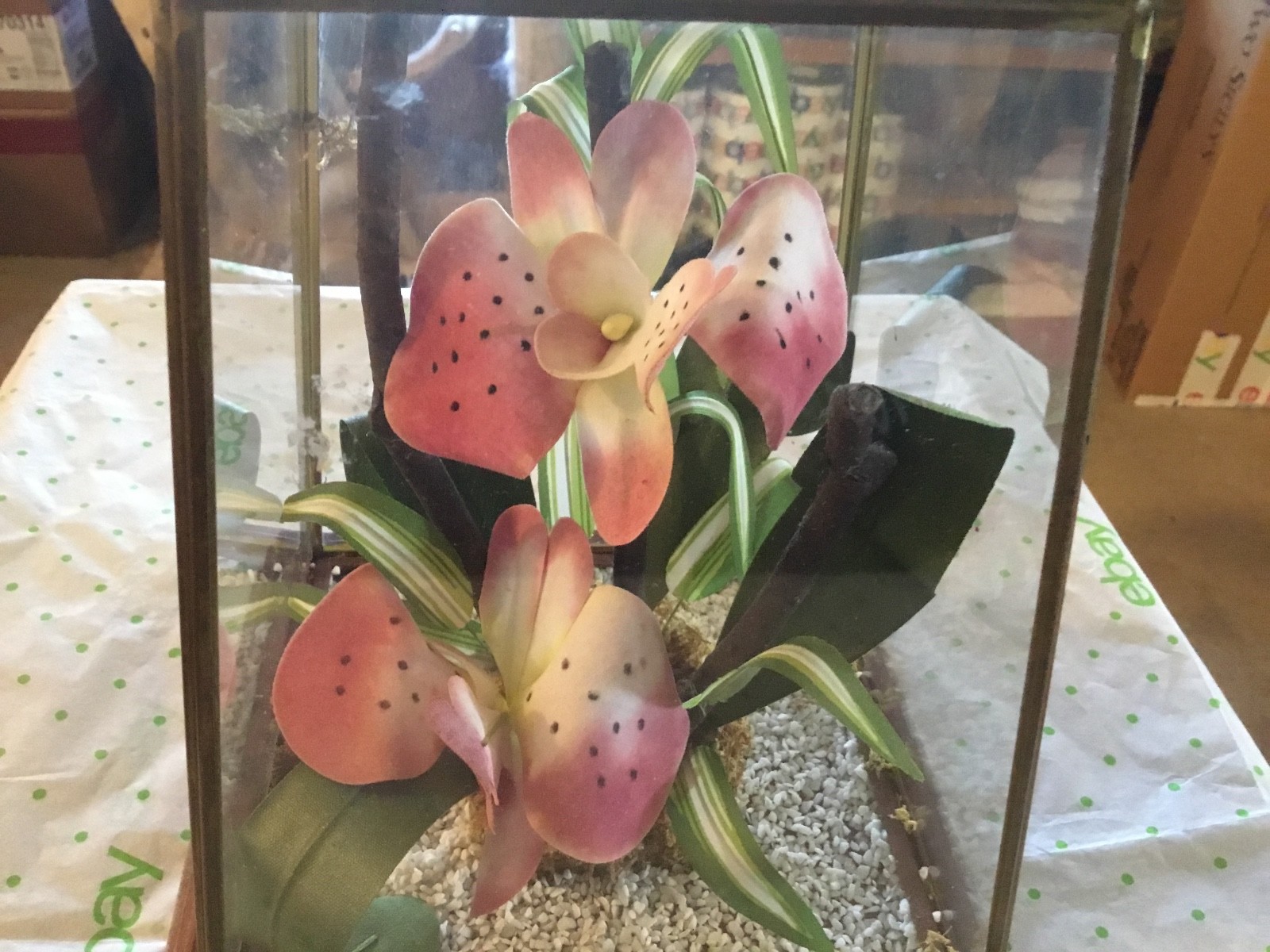 Decorative table Glass enclosed flower decoration | eBay Australia