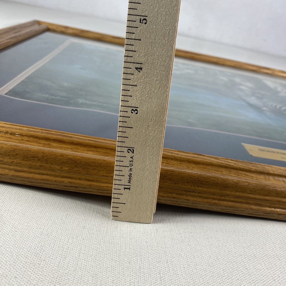 Hayden Lambson Signed Print Framed 34x26 Honeymoon Cove Loon Numbered ...