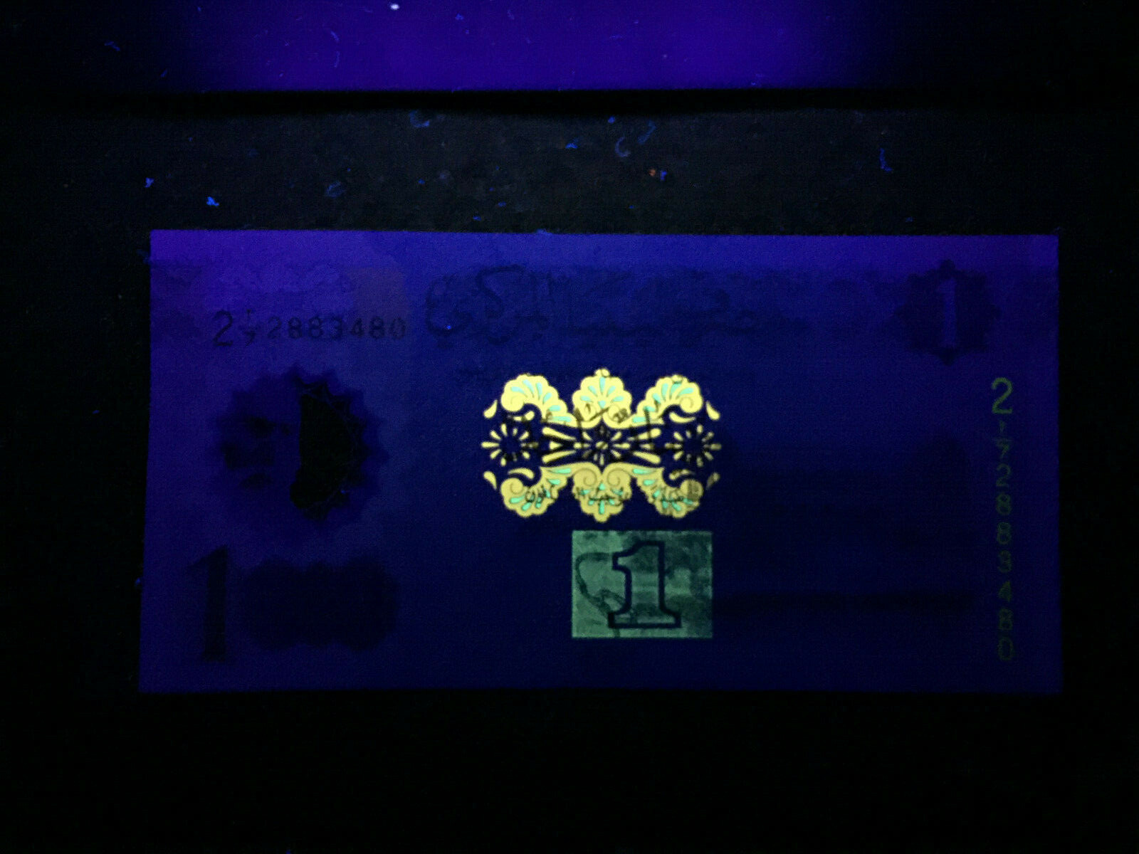 Libya 1 Dinar Polymer 2019 Banknote World Paper Money UNC Currency Bill ...